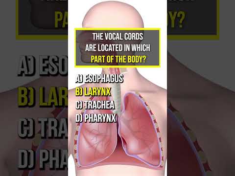 The vocal cords are located in which part of the body?