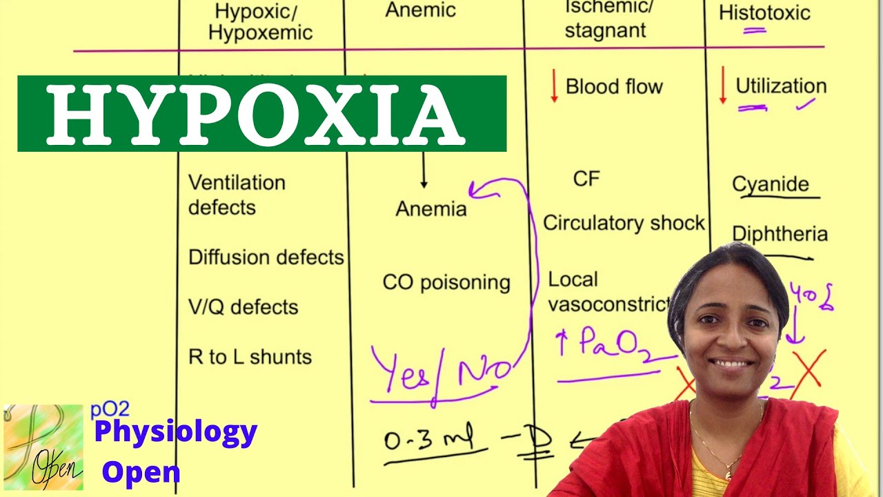 Understanding Hypoxia: Types and Implications in Physiology | Galaxy.ai