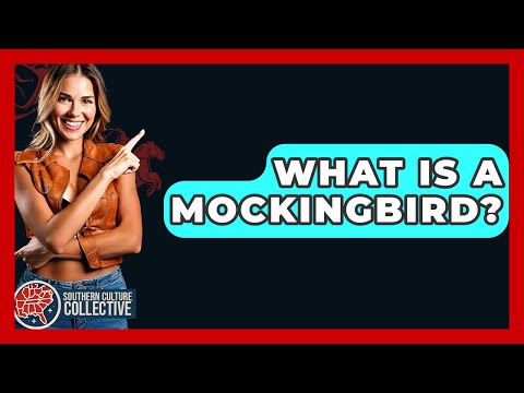 What Is A Mockingbird? - Southern Culture Collective