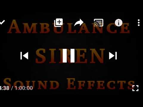 Ambulance Siren Sounds for Dogs