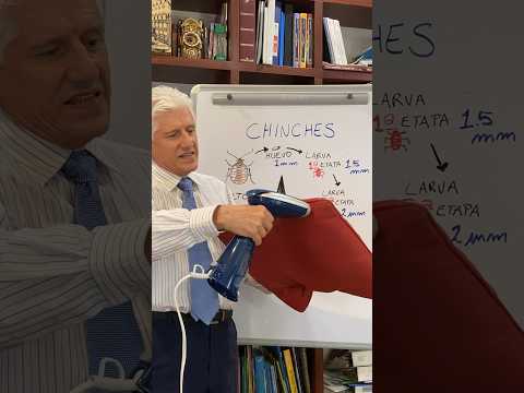 ¿Cómo PREVENIR y EXTERMINAR las CHINCHES?