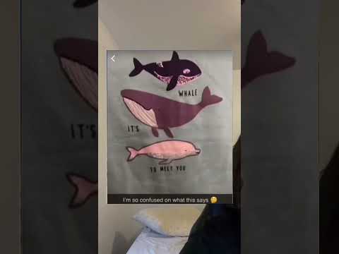 What does it say?