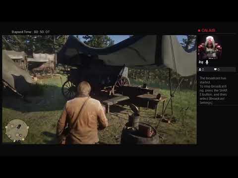 Steam Community :: Video :: RDR2 Stream #1
