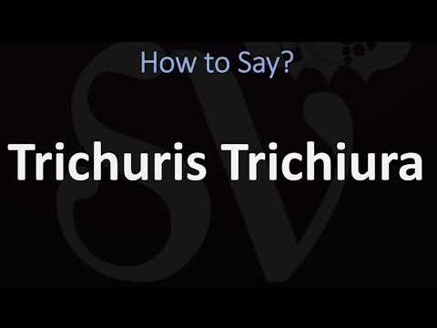 How to Pronounce Trichuris Trichiura? (CORRECTLY)