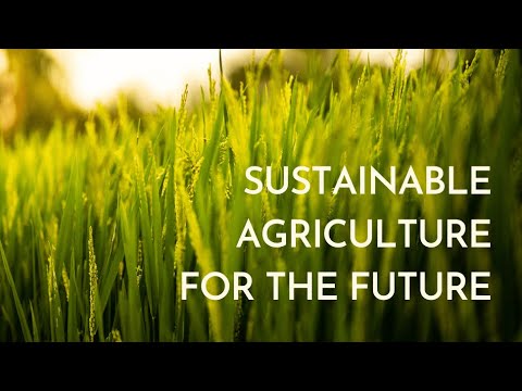 Sustainable Agriculture - Exploring Eco Friendly Farming Practices (20 Minutes)