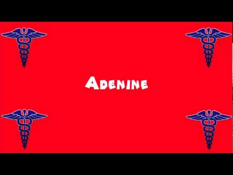 Pronounce Medical Words ― Adenine