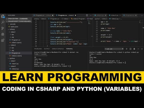 Learn Learn Programming Fundamentals How To Declare Variables In Both C and Python - Mind Luster
