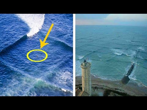 If You See Square Waves In The Ocean Get Out Of The Water Immediately