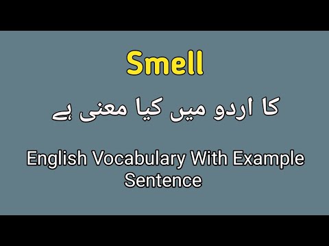 Smell meaning in Urdu | smell meaning in Urdu/ Hindi| smell meaning with example sentence