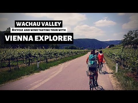 WACHAU VALLEY wine tasting Bike tour with VIENNA EXPLORER