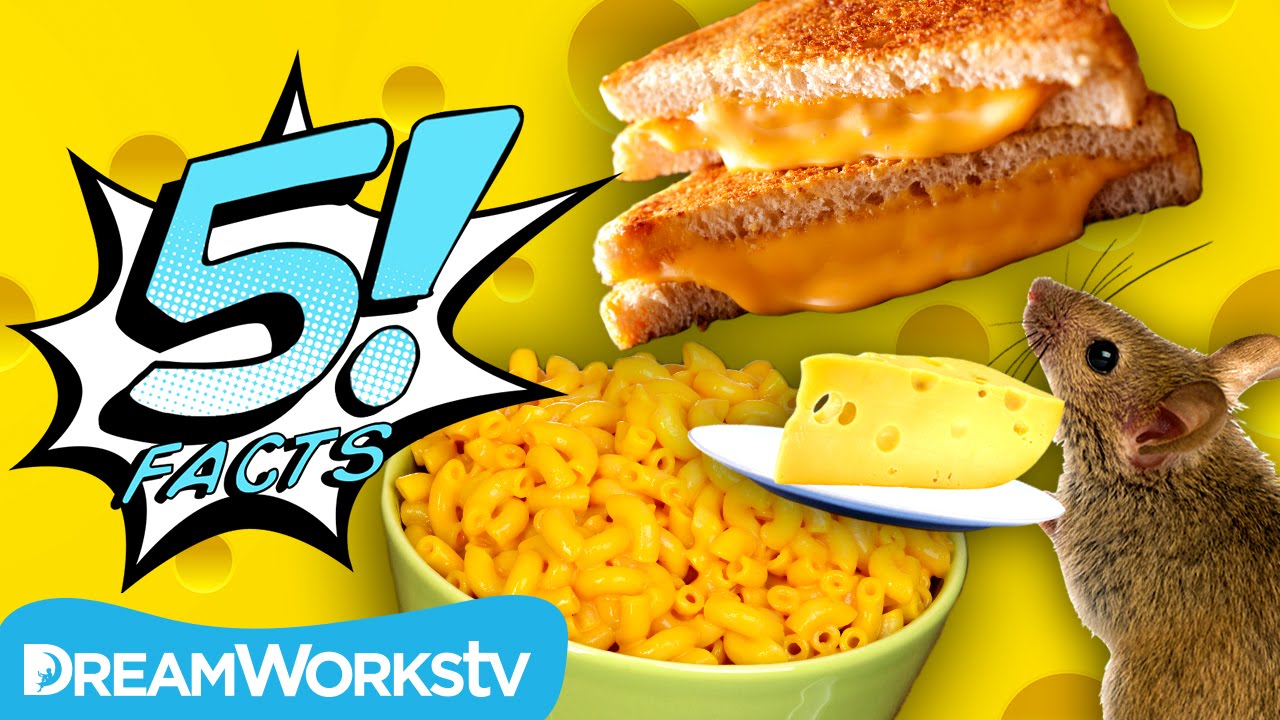 5 Ooey Gooey Facts About CHEESE | 5 FACTS