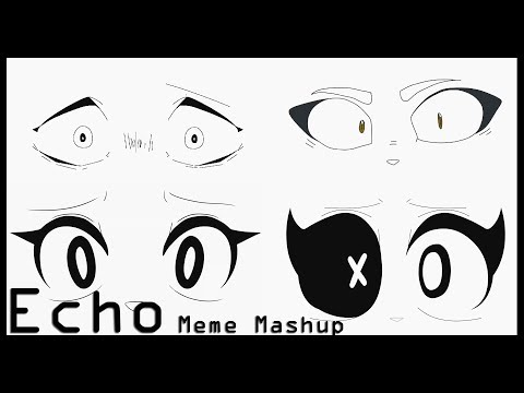 ECHO (Meme Mashup)