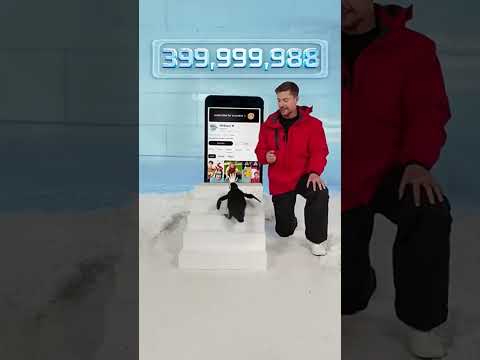Can I Teach a penguin to subscribe #shorts #viral #trending