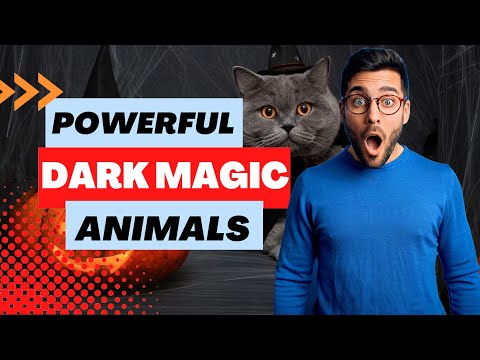 Dark Magic and the Animals that are Used in Its Practice