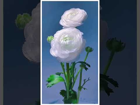 Enjoy the beauty of nature flower #foryou #flowers #nature #everyone