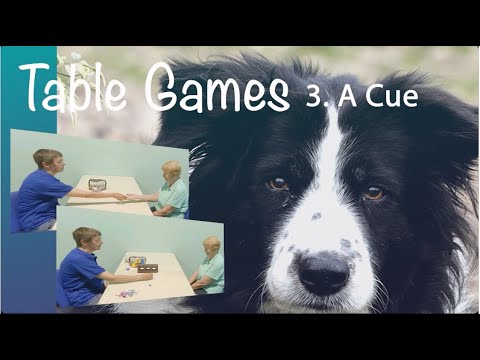Table Games 3: simple discrimination when a cue is present and when it is not