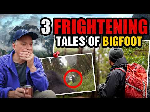 BIGFOOT Eerie Sightings | 3- TRUE Scary Forest Stories