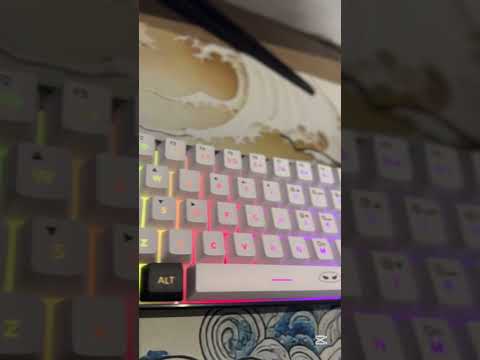 MAGEGEE TS91 Gaming Keyboard Unboxing !