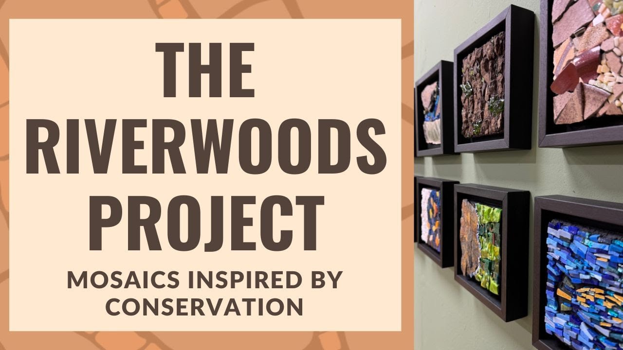 The Riverwoods Project: Mosaics inspired by a conservation project