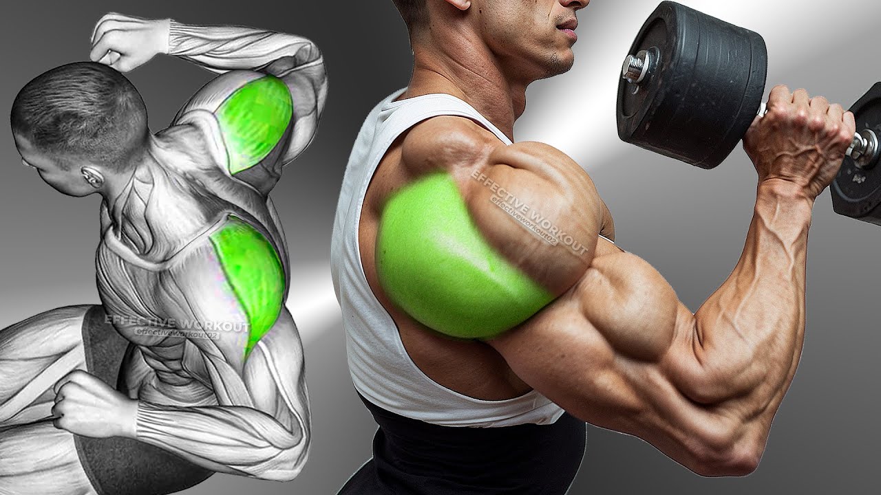 9 Best Rear Delt Exercises for Boulder Shoulders