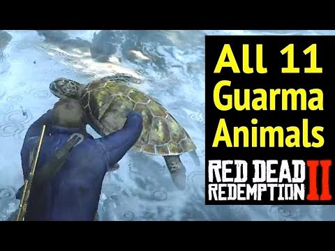 Rdr2 full compendium