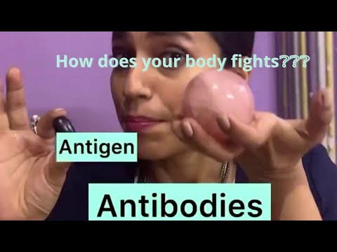 Antigen-Antibody Reaction