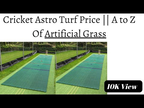 Artificial Cricket Pitch - Cricket Pitch Latest Price, Manufacturers ...