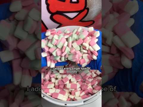10kg of EVERY SINGLE Squashies?!