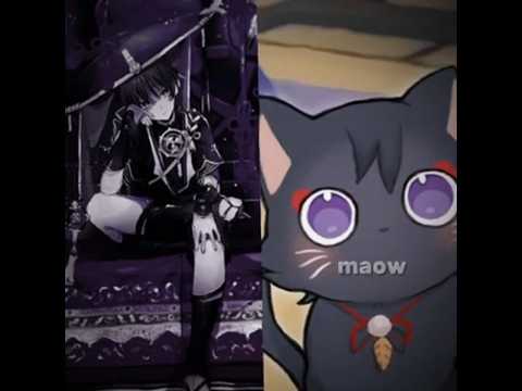 Scaramouche and Scarameow edit | Genshin Impact