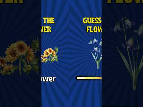 Guess the Flower by Images 🌹🌺 #quiz #quiztime #flowerquiz #braingames
