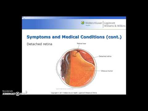Medical Terminology - Chapter 13 Live Lecture - 13.1 - Eyes