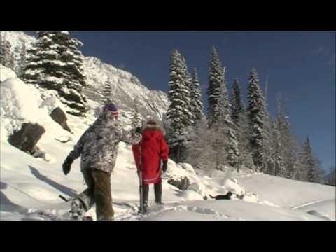 Jasper National Park. ElkView Accommodation Jasper