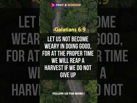 The Greatest BIBLE VERSE for PERSEVERANCE
