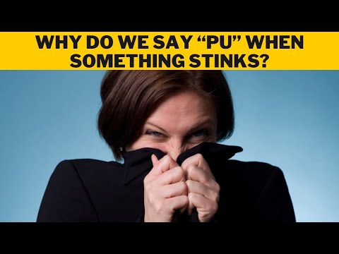 Why Do We Say “PU” When Something Stinks?