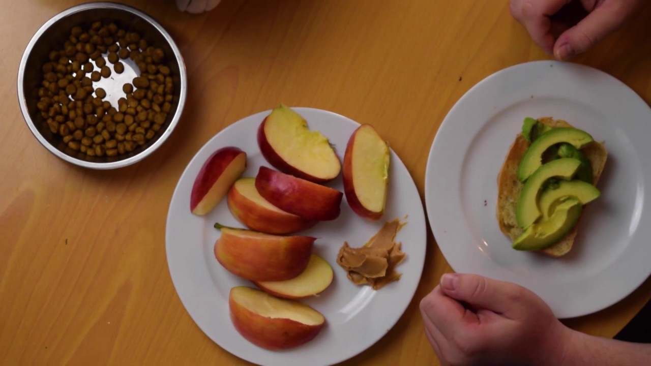 'The Quarantine Diet' is a short film made for the Quarantine Film Challenge