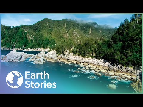 Can This Historical Park Survive Industrialization? | A Park For All Seasons