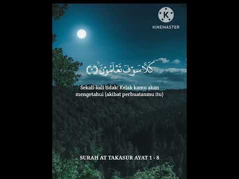 Surah At Takasur Ayat 1 - 8