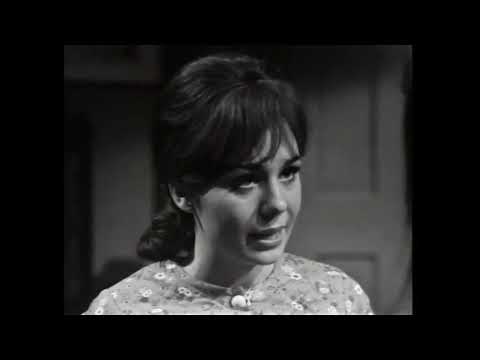 NEW Celebrating Kathryn Leigh Scott Scenes Maggie, Sam and Laura Collins