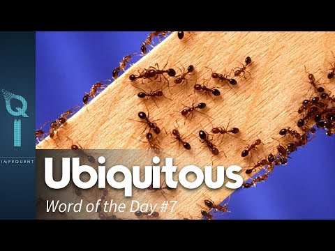 Word of the Day #7 - Ubiquitous