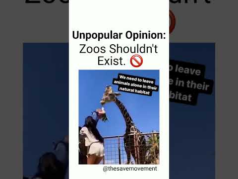 Unpopular Opinion: Zoos Shouldn't Exist 🚫🦒 #shorts