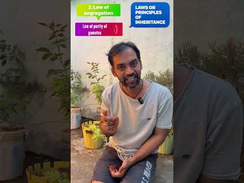 Laws of Inheritance Principles of Inheritance in Tamil #neet #cbse #tnboardexam #upsc #tnpsc #pgtrb
