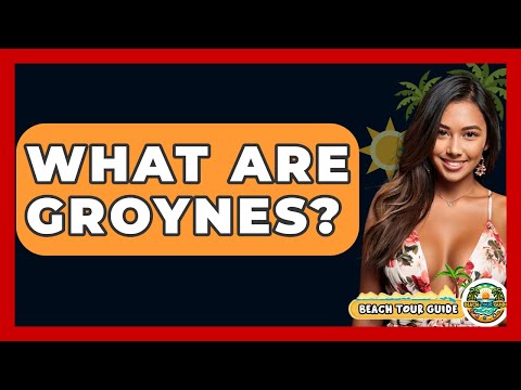 What Are Groynes? - Beach Tour Guide