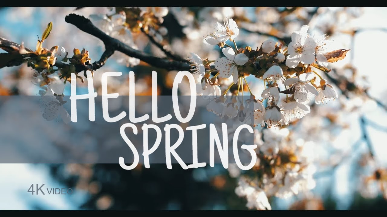 HELLO SPRING [4K UltraHD Video] Relaxing Ambient Music