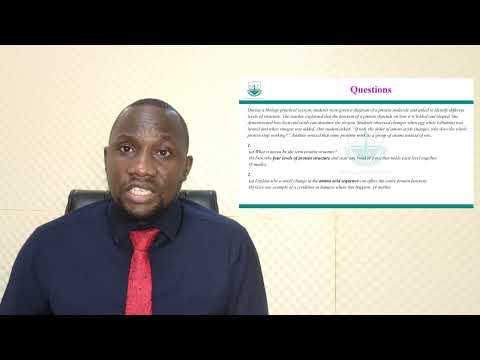 Scenario On Levels Of Proteins