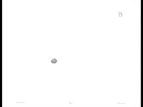 Bouncing Ball Animation Tests | Archive