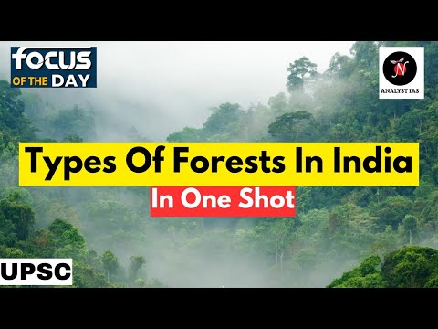 Types of Forests In India | Focus of the Day | UPSC | ANALYST IAS