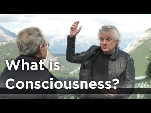 David Chalmers - What is Consciousness?