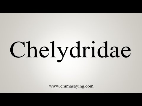 How To Say Chelydridae