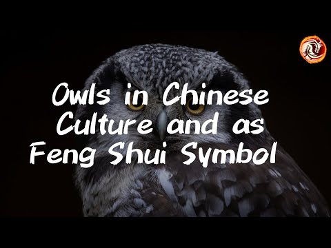 Owls in Chinese Culture and as Feng Shui Symbol (Meaning, History, Usage)