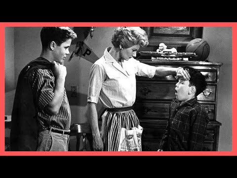 The Enduring Myths of the 1950s People Should Unlearn